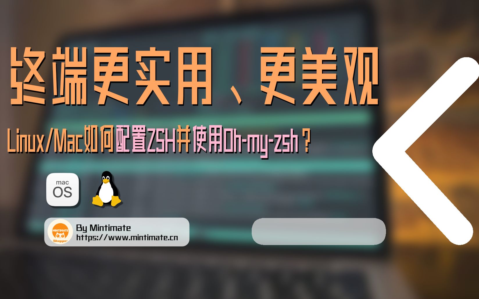 6分钟学会让你的Linux/Mac终端更加好用:配置zsh并使用Oh-my-zsh