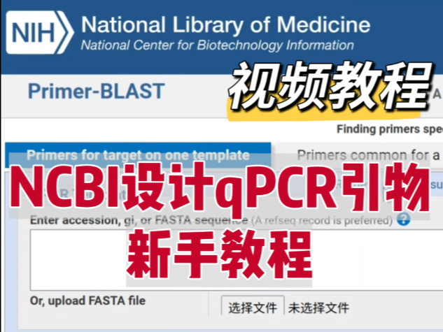 视频教程⭐️|如何设计PCR引物,新手教程‼️