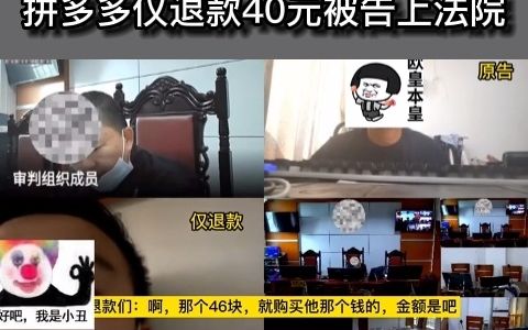 拼多多仅退款被起诉案例