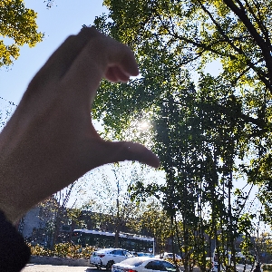 四十条坚拿道的小智 