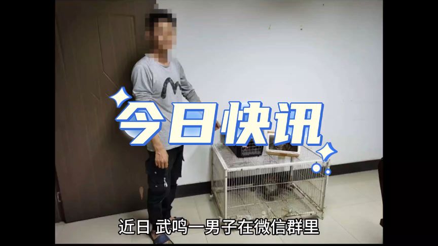 武鸣一男子在微信群卖“猫”,已被抓!#同城发现 #同城优先