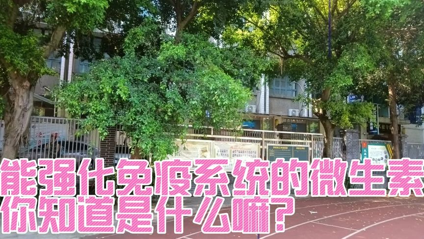 免疫系统是保持细胞更新和抵御对抗病毒强健身体怎样补营养好?看