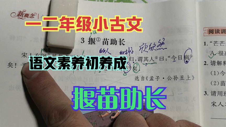 小古文:揠苗助长,小学语文中低年级语文素养初养成