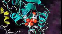 艾滋病病毒的逆转录繁殖过程模拟视频
