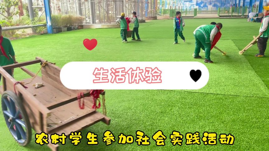 农村学生参加社会实践活动,到社会上实践生活