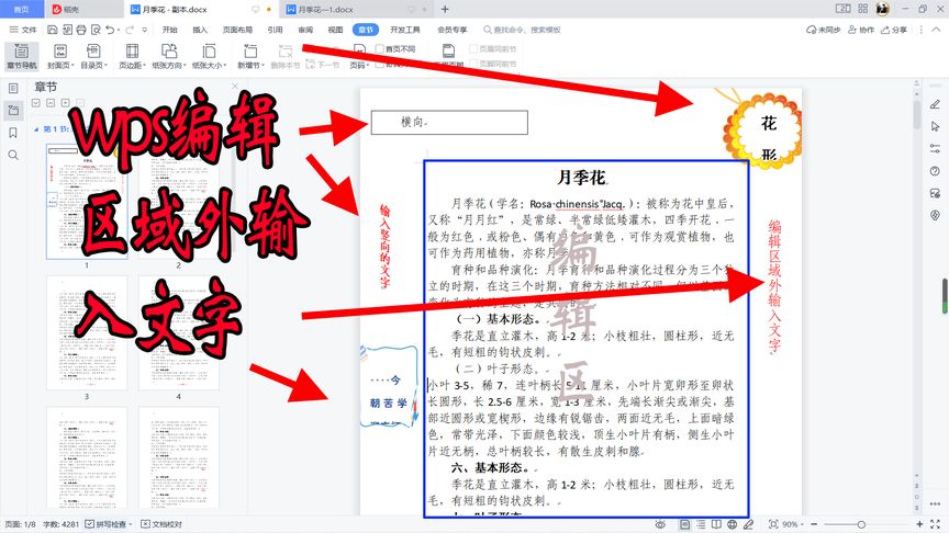 wps文字文档如何在编辑区域外输入文字?两种方法,十分好用