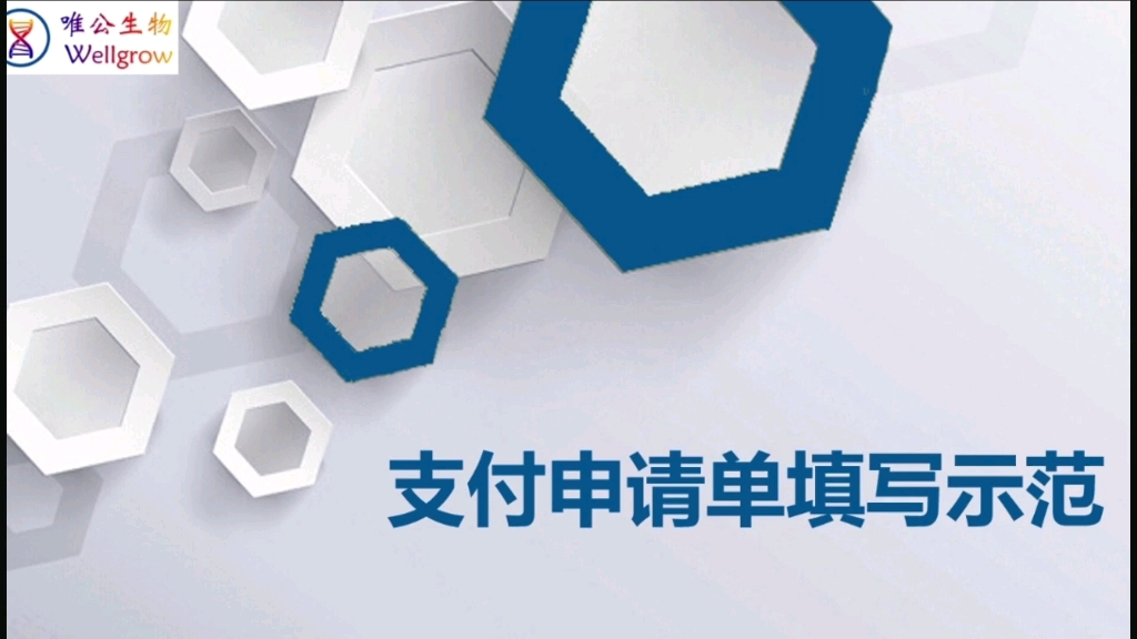 支付申请单填写示范