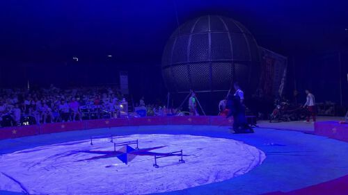 话说这些马戏团的动物,平时怎么训练的