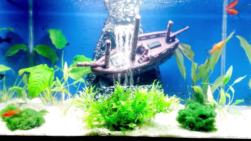 将生态系统具有的基本元素进行组织,在有限的空间内,融合水培花盆...