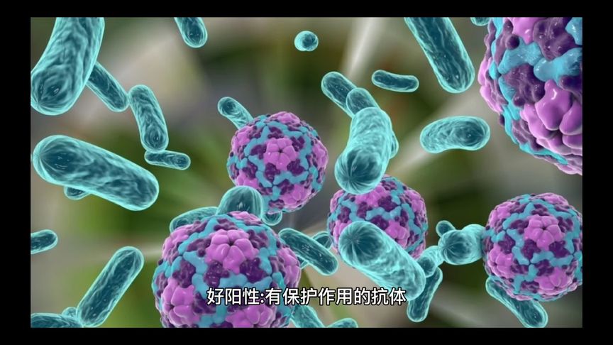 理解体检报告中的阳性指标