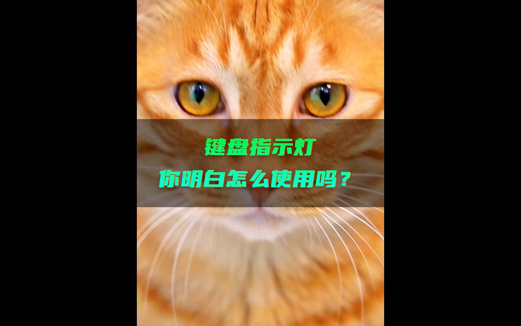 电脑键盘指示灯,你知道怎么使用吗