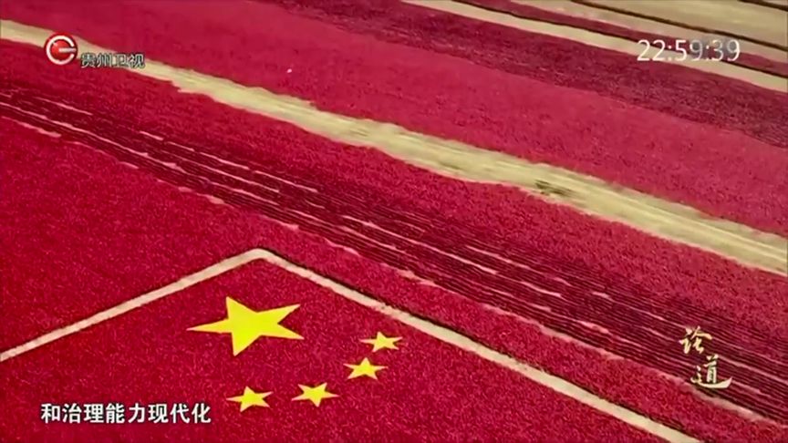 制度的发展要建立在实践的基础上,与社会发展保持协调|论道