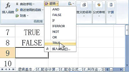 Excel 2007视频教程21-函数(3):逻辑函数_标清