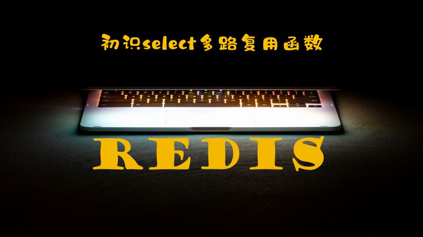 初识select多路复用函数