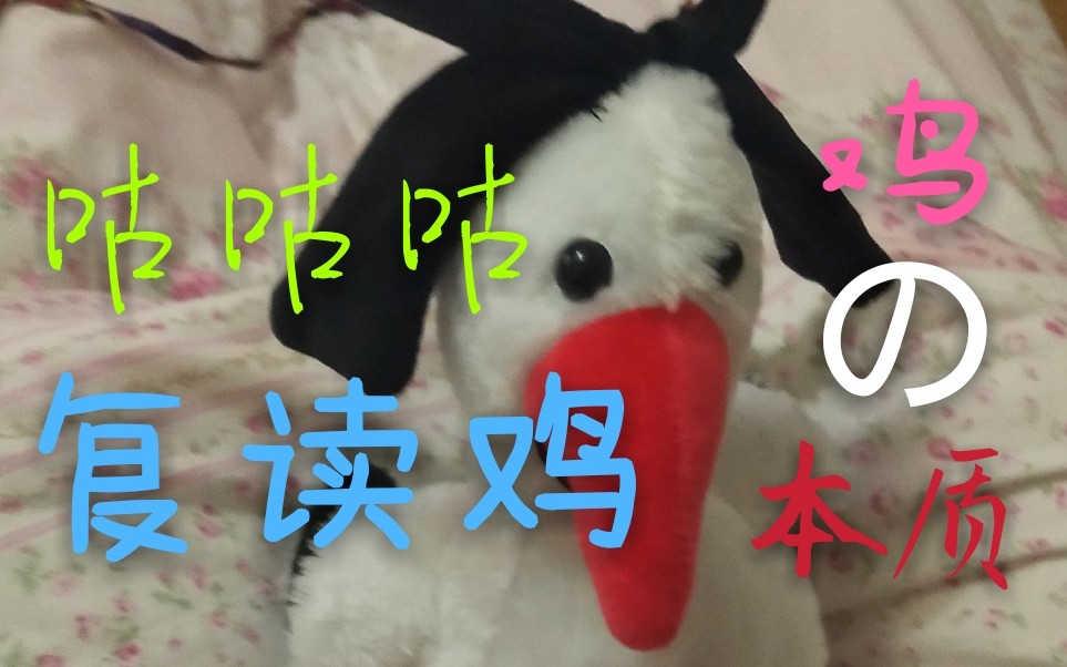 鸡的本质?咕咕咕?复读鸡?