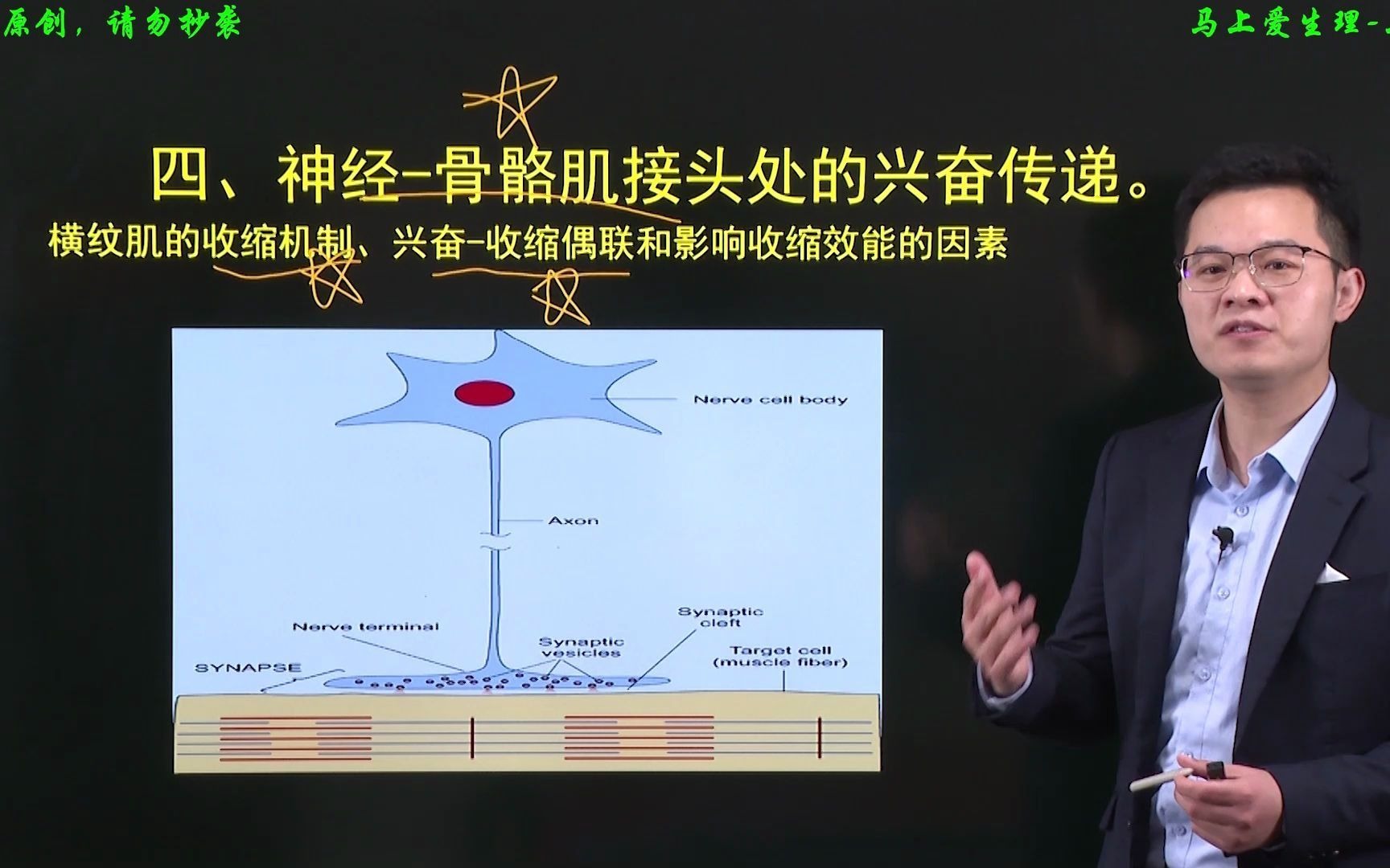 【医学考研-生理学】复旦马威|马上爱生理 -2.4肌细胞的收缩
