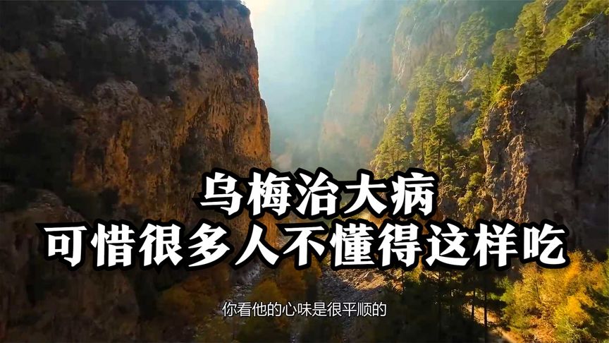 乌梅治大病 可惜很多人不懂得这样吃