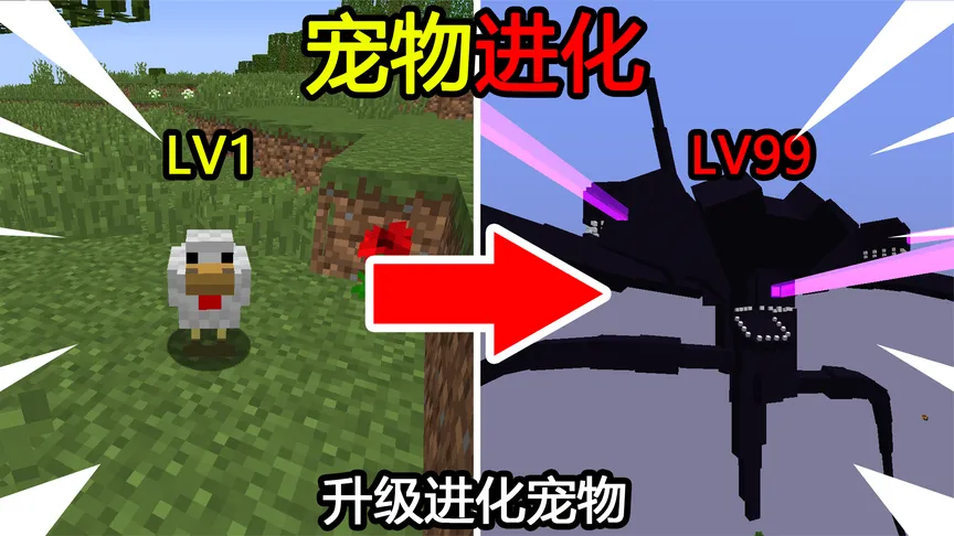 我的世界:宠物进化!每升3级进化一次!最后进化成凋零风暴!