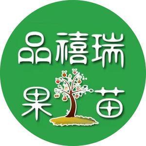 品禧瑞果苗 