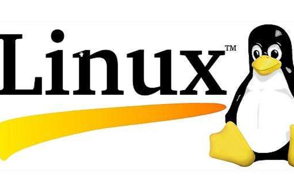 Linux系统入门:小白带你玩转linux不用愁