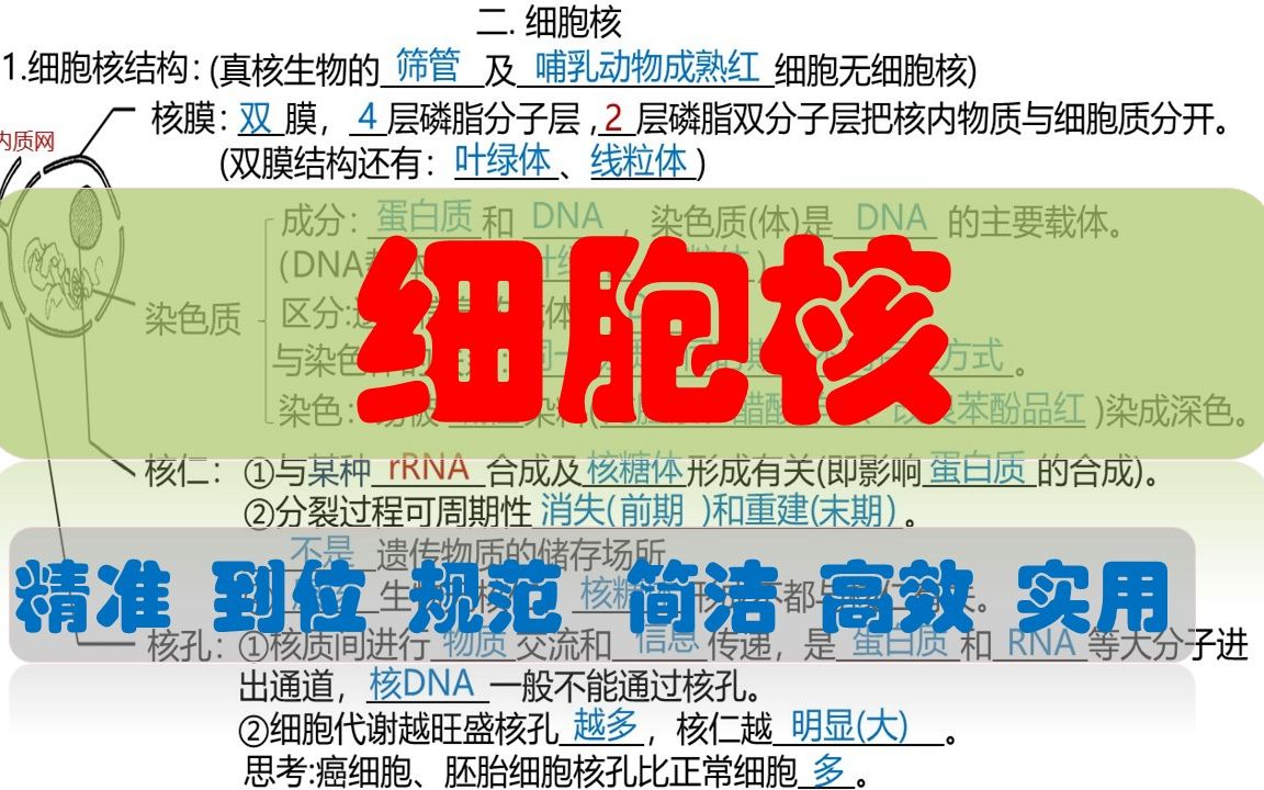 细胞核 高中生物必修一 《分子与细胞》 一轮复习