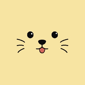 韩桑木 