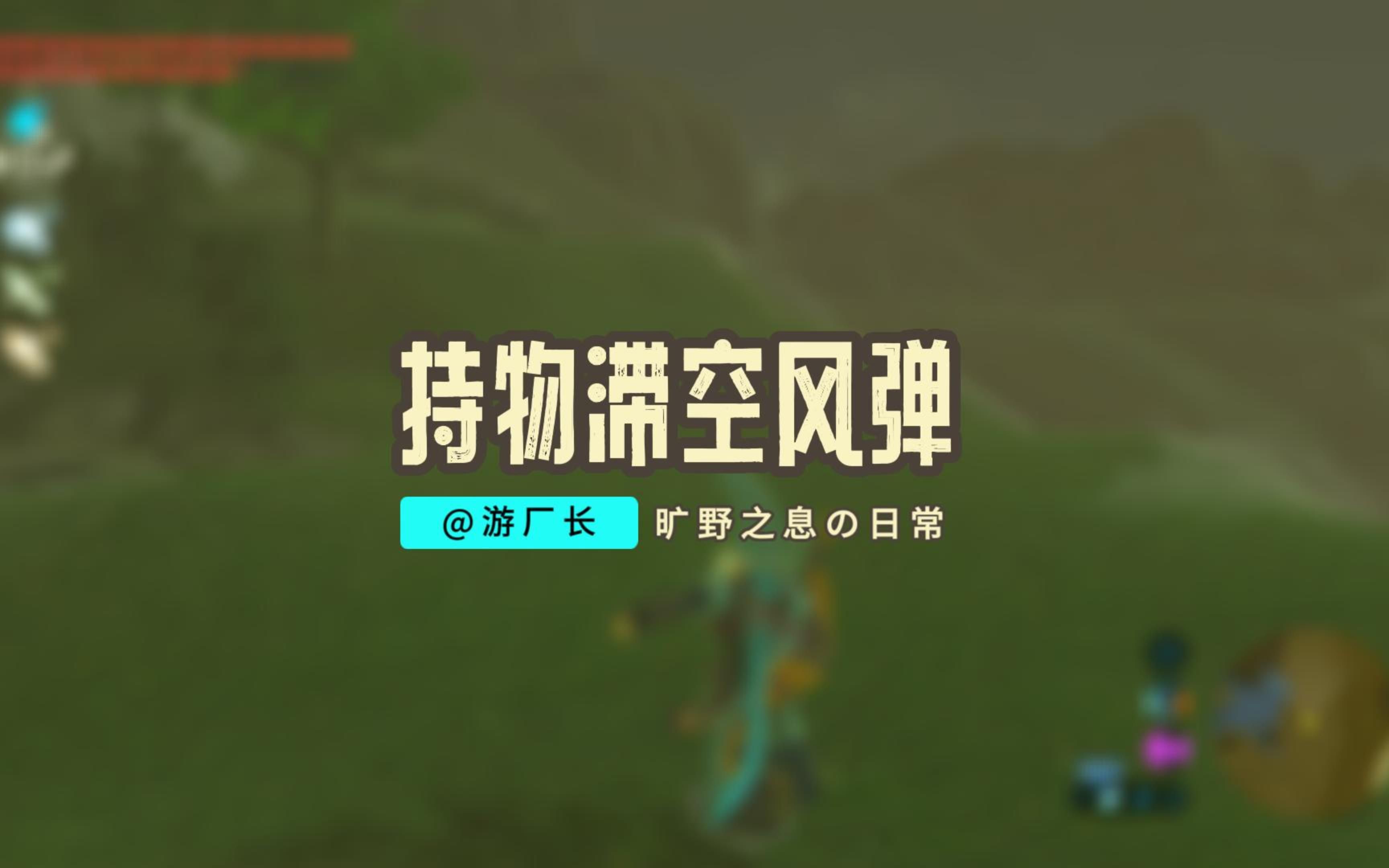 《塞尔达传说:旷野之息》风弹进阶教学:持物风弹!让你平地也能起飞!