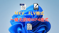 MKV、FLV格式一键无损转MP4格式,免费又好用的工具。