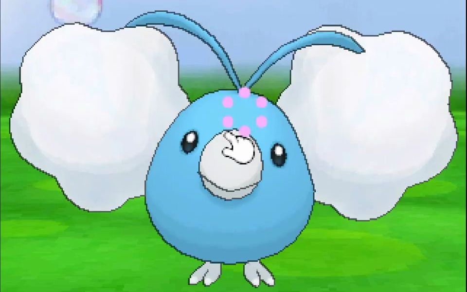 无敌可爱!青绵鸟!【宝可梦摸摸乐】