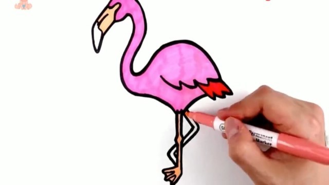 幼儿亲子早教简笔画绘画各种动物动物世界