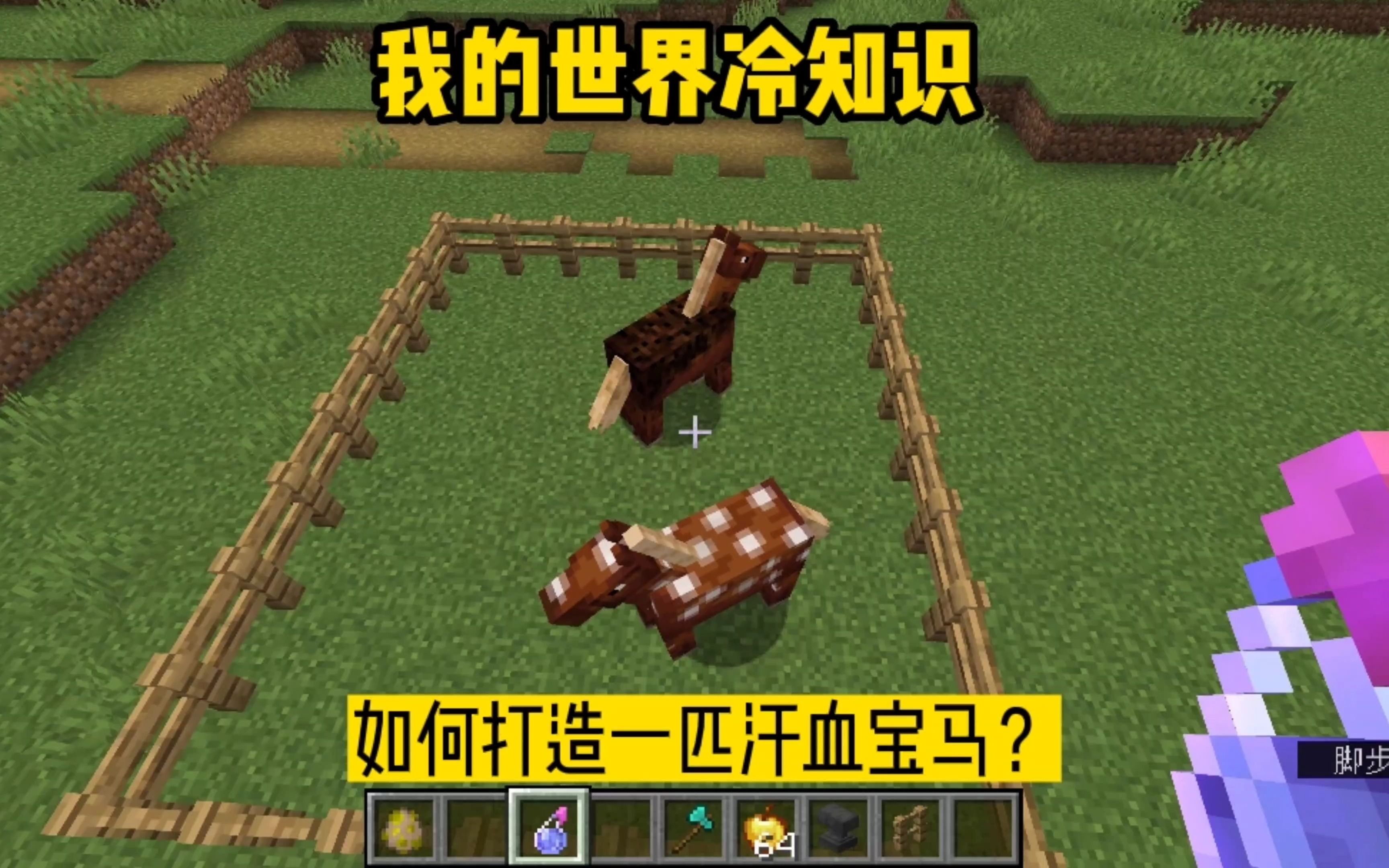 我的世界冷知识,改变马匹基因,打造“跑车速度”的汗血宝马_哔哩哔哩...