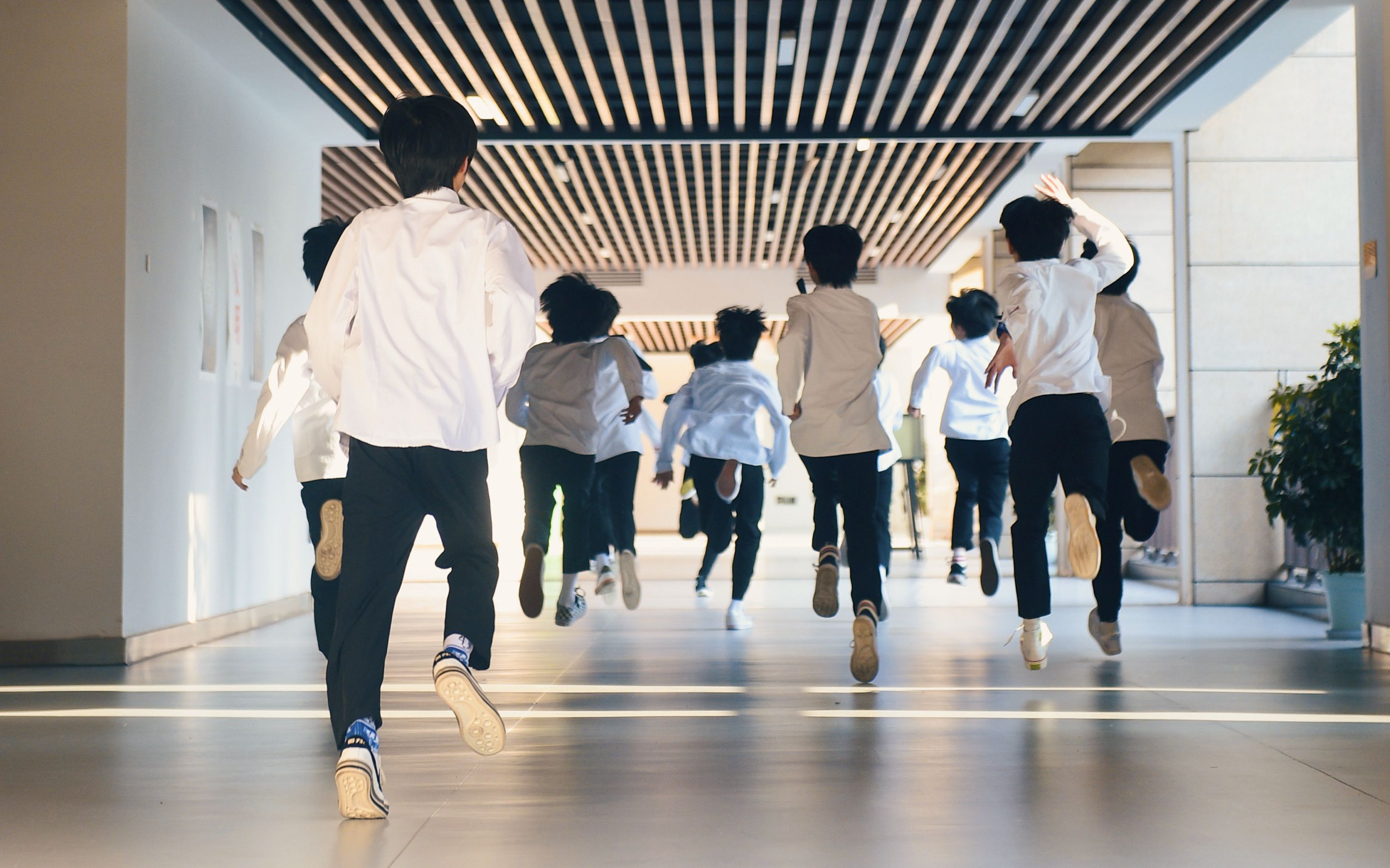【TF家族三代】舞台小合集