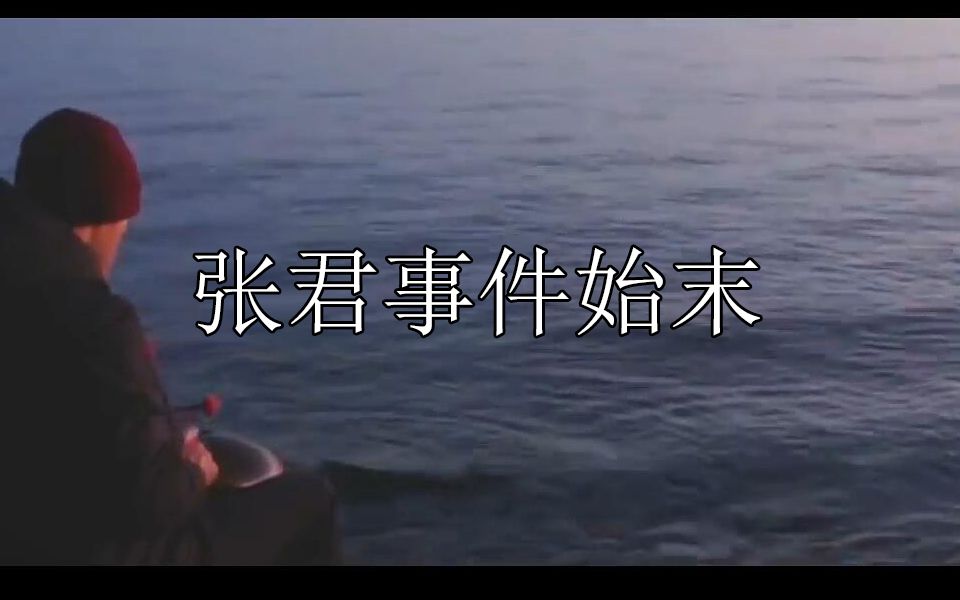 【大案纪实】张君事件始末