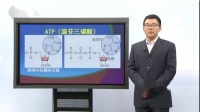 微课1:ATP的分子结构_(高中必修生物)#B9383