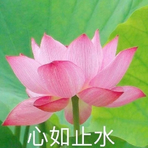 兰州小骄傲 