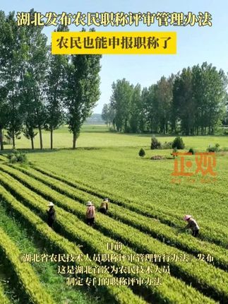 湖北发布农民职称评审管理办法,#农民也能申报职称了