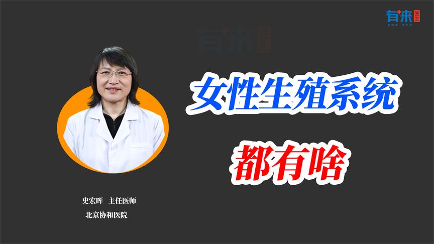 女性生殖系统由这3种器官组成,你知道几个?
