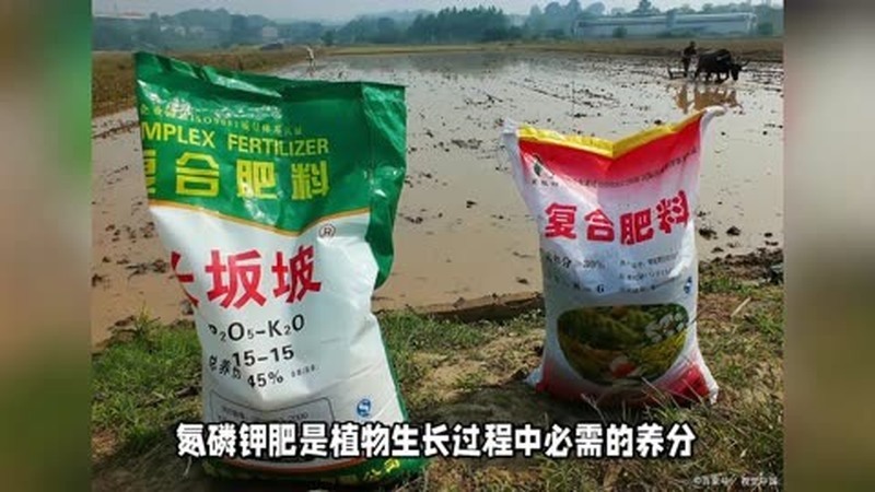 氮磷钾肥分别有什么作用