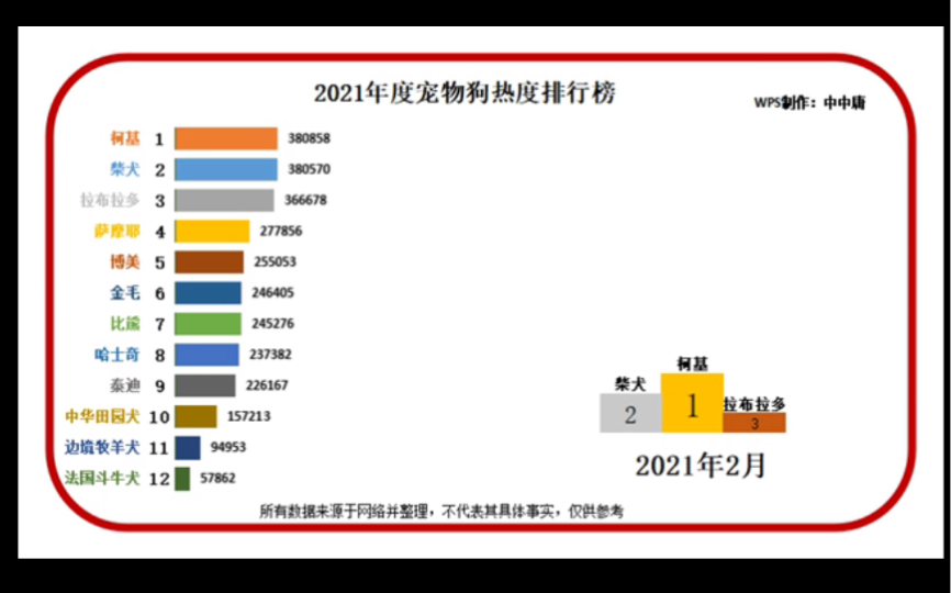 2021年宠物狗热度排行,有你喜欢的狗狗吗