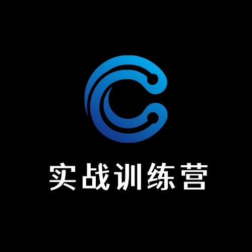 实战训练营 
