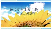 2012高考上海生物14基因分离定律