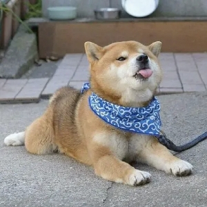 芜湖樓德华 