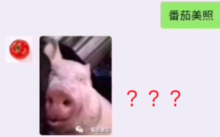 老番茄的公众号也太惊喜了叭!～