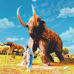 看动画学英语可永久 