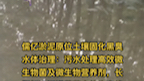 河道治理水质提升 四川广安黑臭水体治理淤泥原位土壤固化剂修路,...