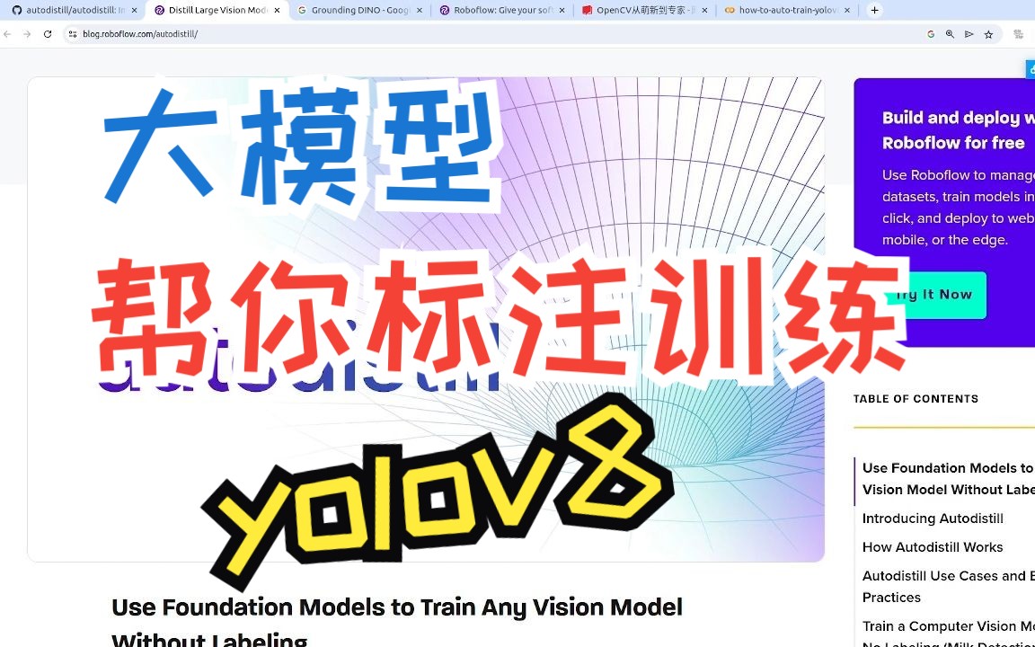 cool! autodistill帮你标注数据训练yolov8模型