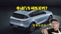 为什么有人打死都不买电动车,那到底值不值得买呢?听老鱼怎么说