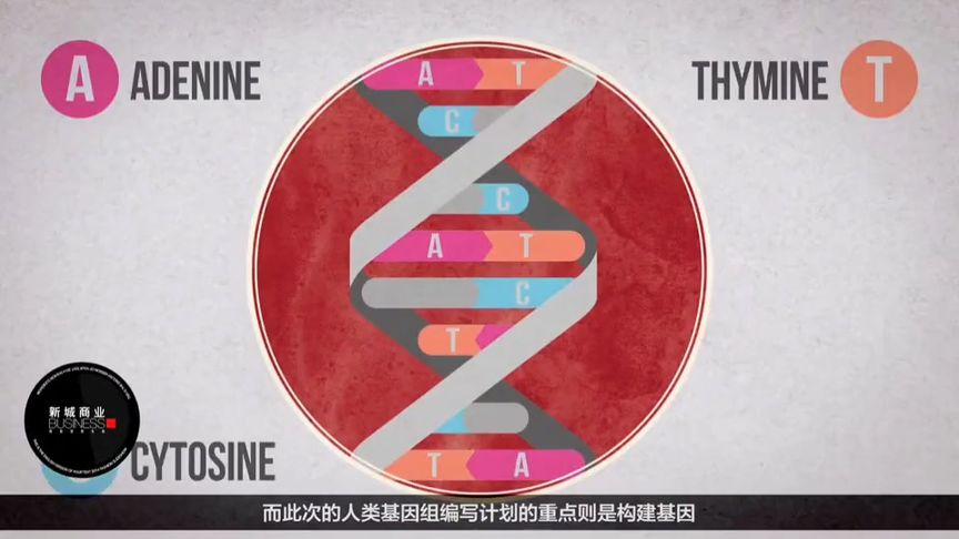 人类基因组编写计划正式启动