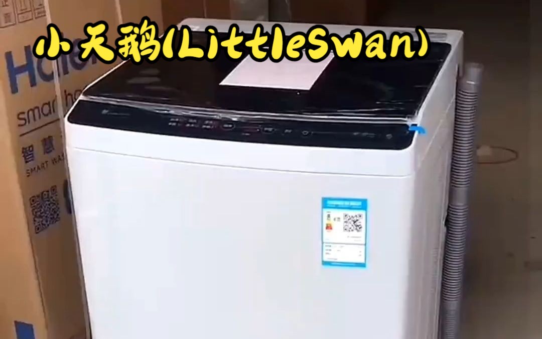 小天鹅(LittleSwan)10公斤 波轮洗衣机全自动 健康免清洗 !