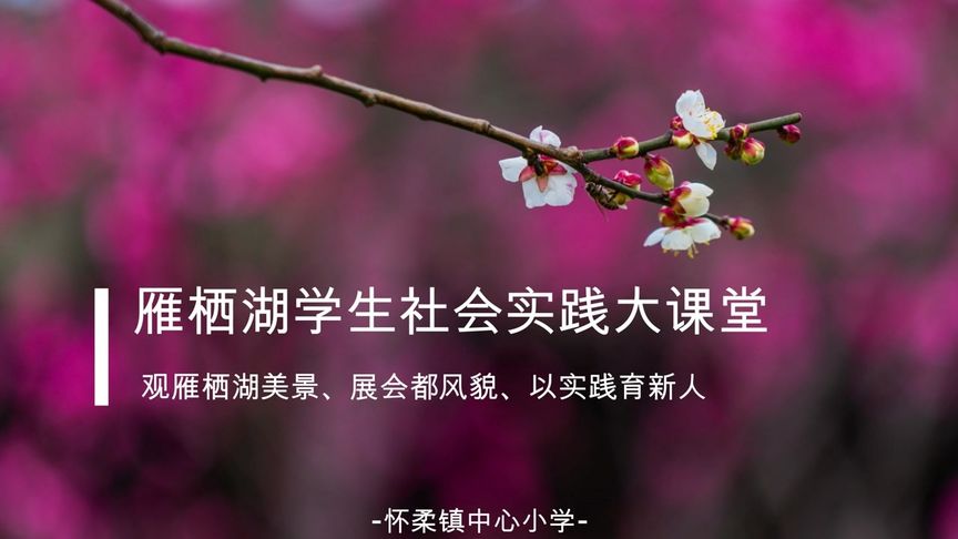 【雁栖湖景区社会大课堂】怀柔镇中心小学举办社会实践活动
